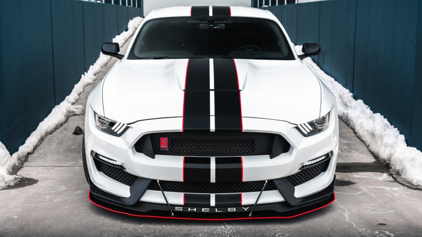LiquiVinyl 2015-2020 Ford Mustang GT350 Front Splitter (OEM Bumper ...