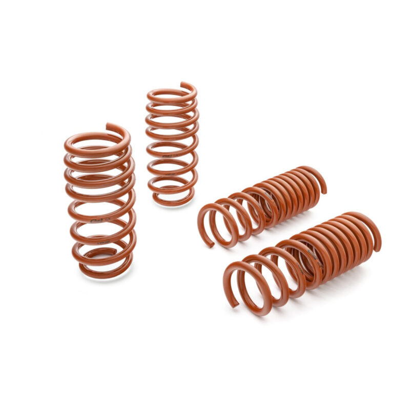 Eibach 2011-2020 Dodge Charger Sportline Lowering Spring Kit - Function ...