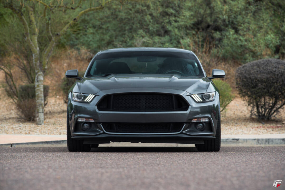 FFP 2015-2017 Ford Mustang GT350 Style Front Bumper - Function Factory ...