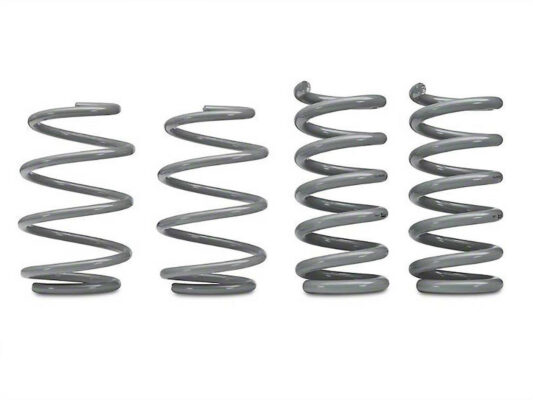 RTR 2024-2025 Ford Mustang Tactical Lowering Springs - Function Factory ...
