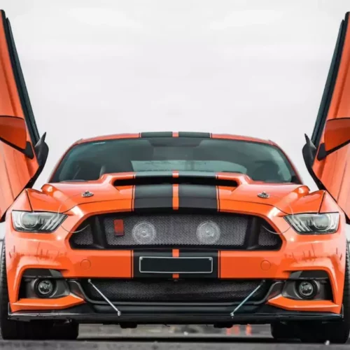 EOS 2015-2021 Ford Mustang Vertical Lambo Doors - Function Factory ...