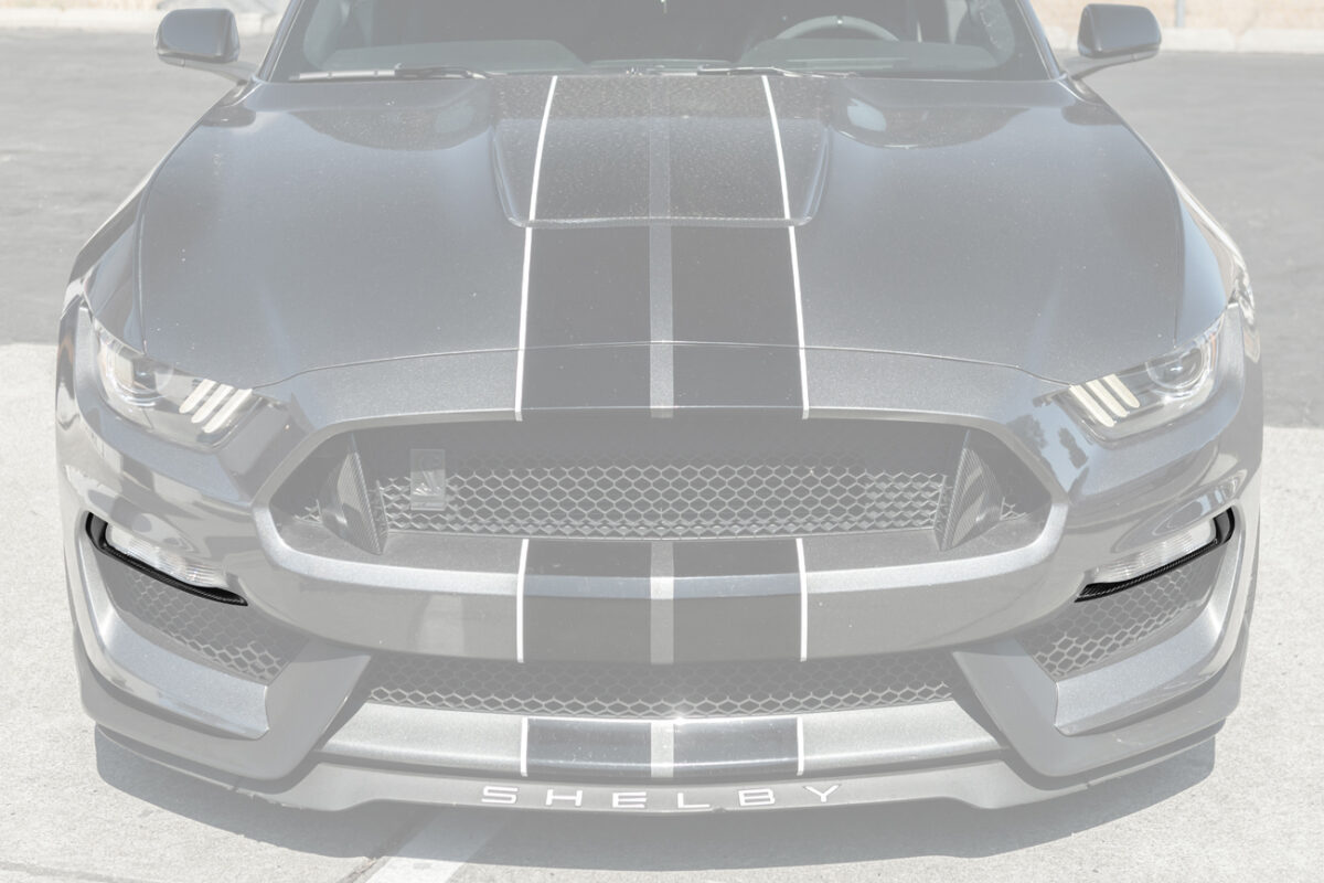FFP 2015-2020 Ford Mustang Shelby GT350 Dry Carbon Fiber Front Fog ...